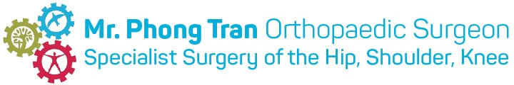 phong-tran-logo-retina - Professor Phong Tran